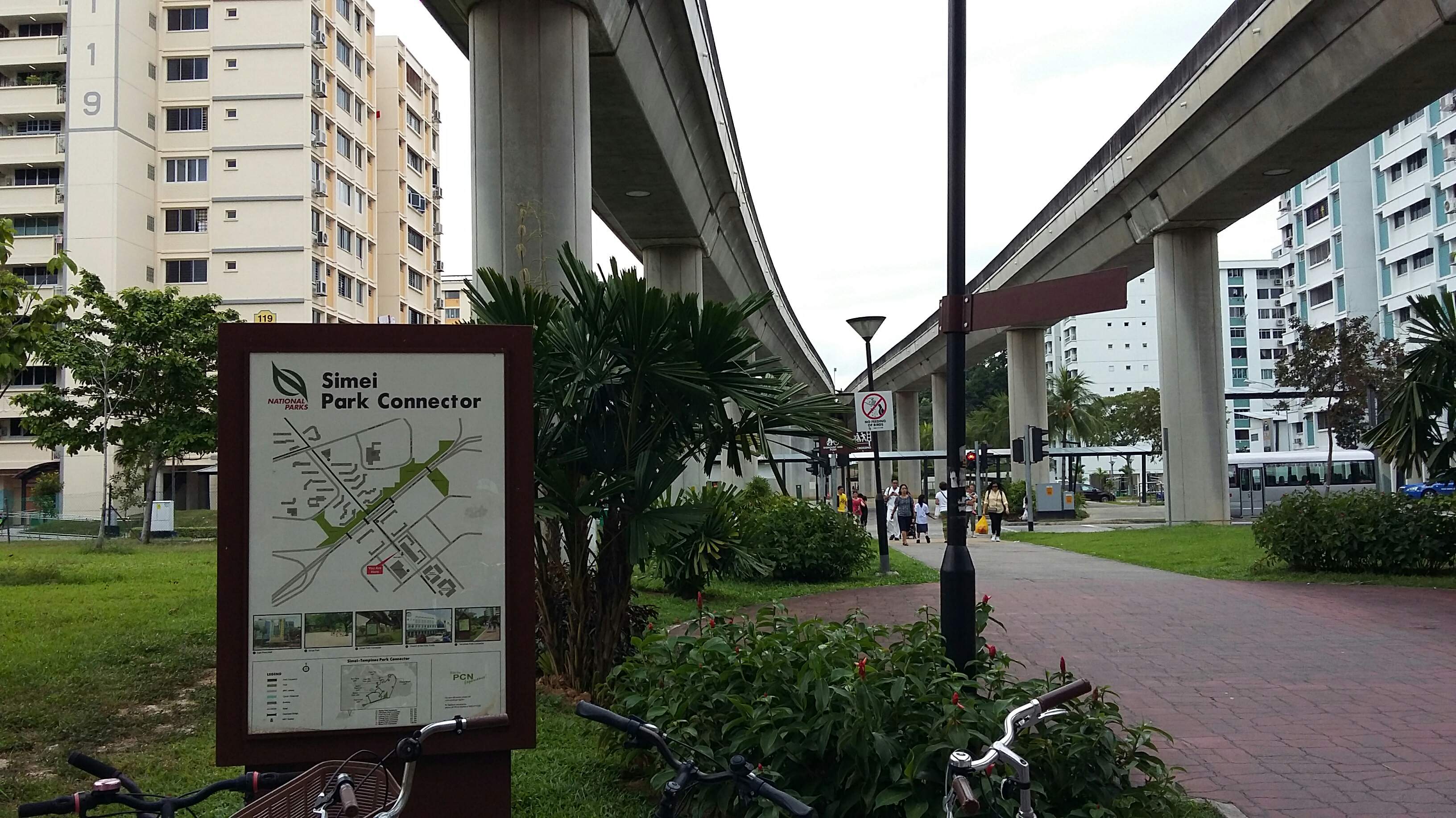 Singapore Service - Park-Attractions - Simei Park Connector | Nestia