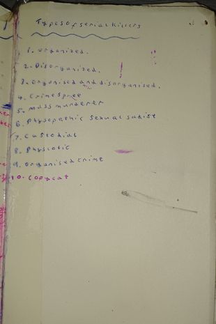 Brianna Ghey murderer Scarlett Jenkinson's sick list of '10 types of ...