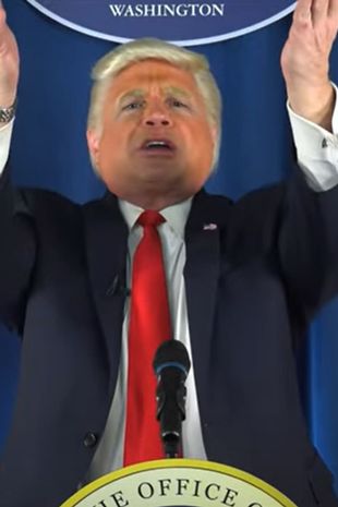 Donald Trump becomes wanted sperm donor after lookalike's spoof video ...