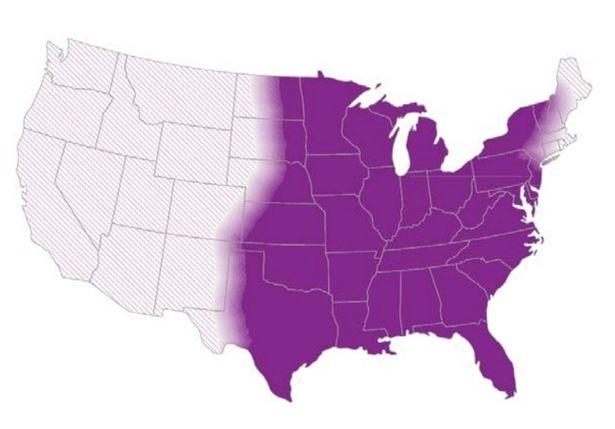 Terrifying maps show deadly fungal diseases are spreading fast across ...