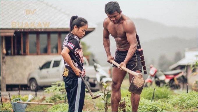 专栏｜选手添保障比赛更安心 | Nestia