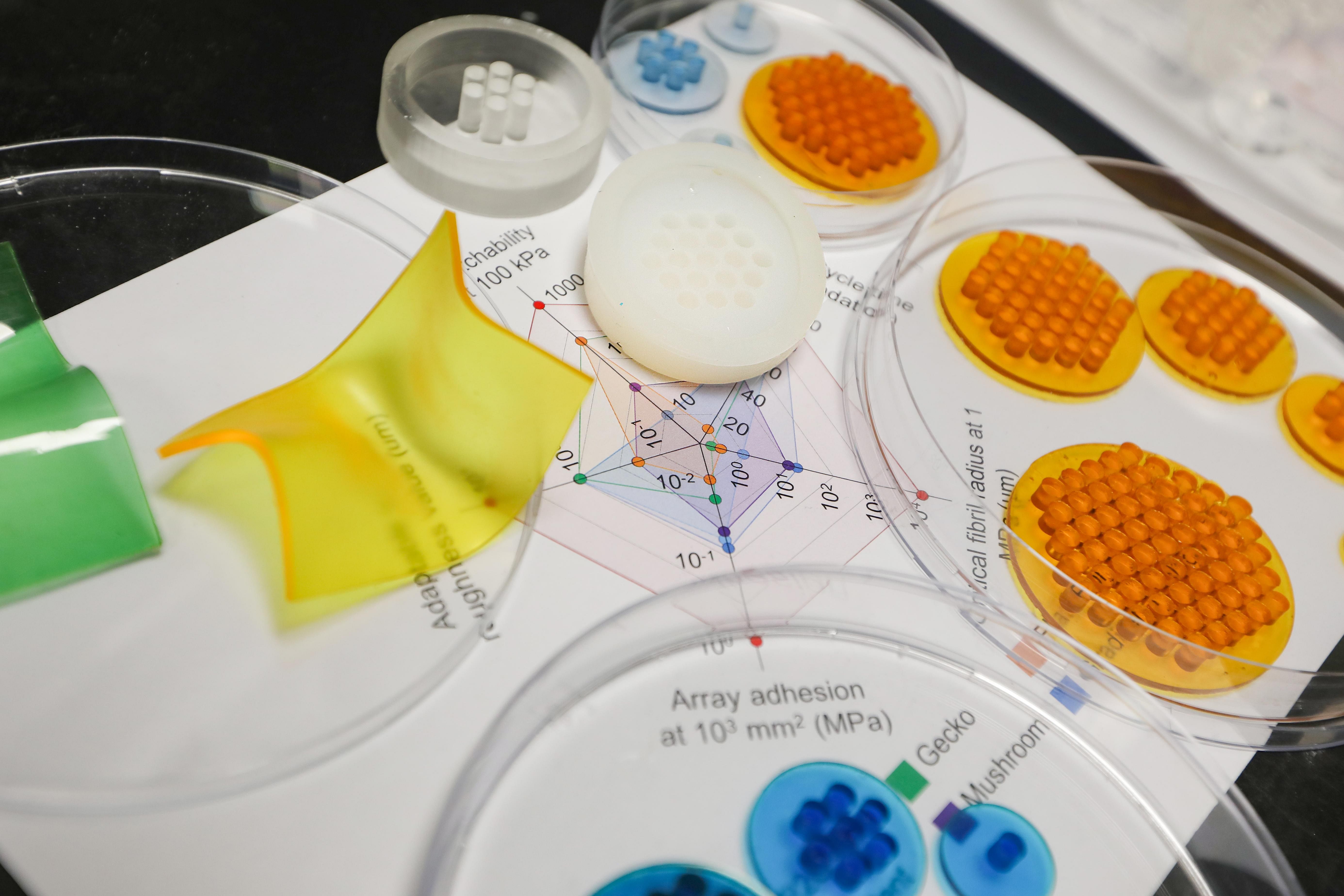 灵感来自壁虎蜗牛 创新“吸盘”手掌大小能承重60公斤 | Nestia