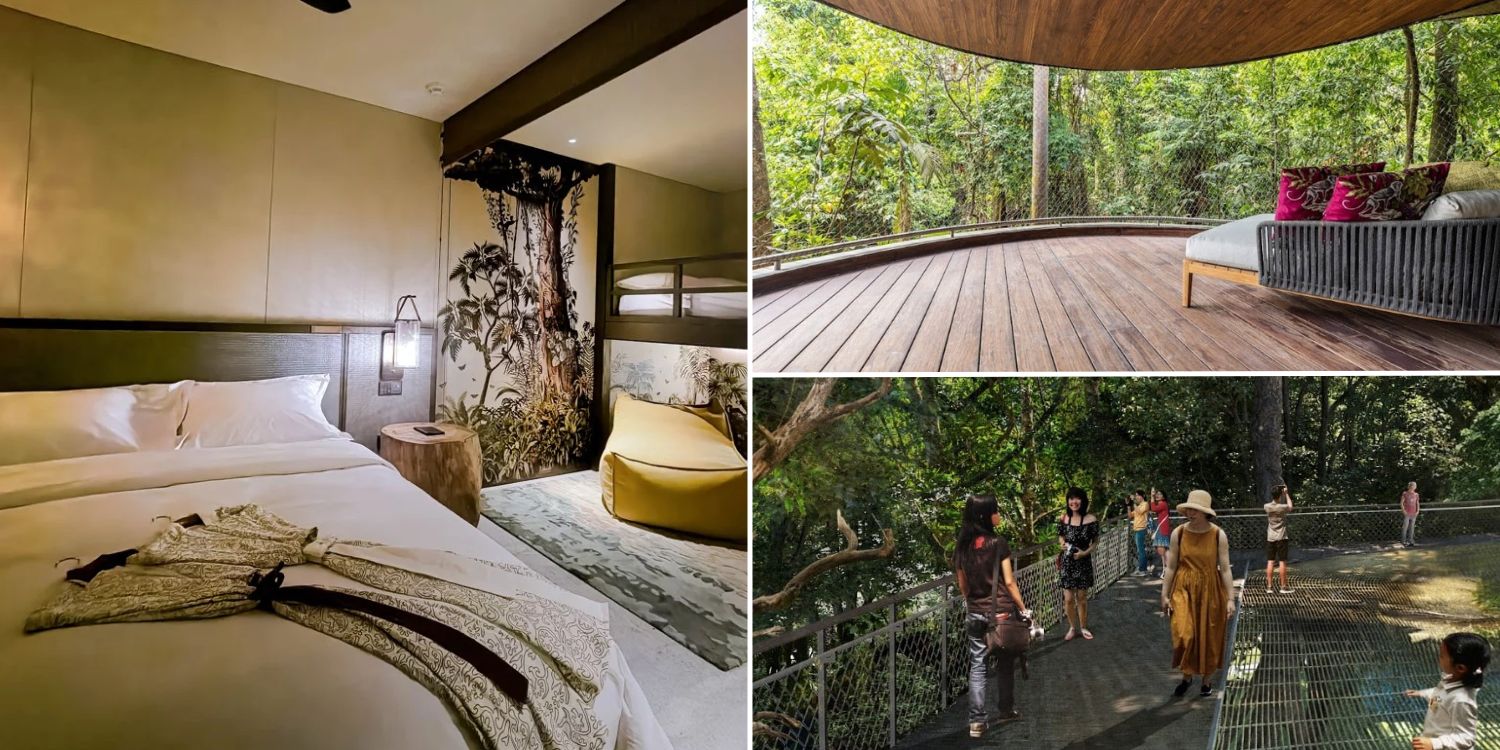 Mandai rainforest resort to open in 1st half of 2025 with treehouses ...