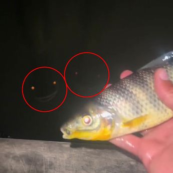 Shocked fisherman finds creepy smiling 'monster' fish during late night ...