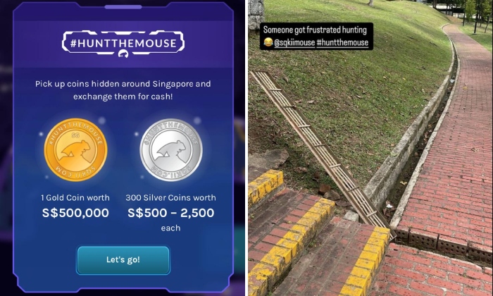 Stomper concerned coin-seeking Hunt The Mouse players causing property ...